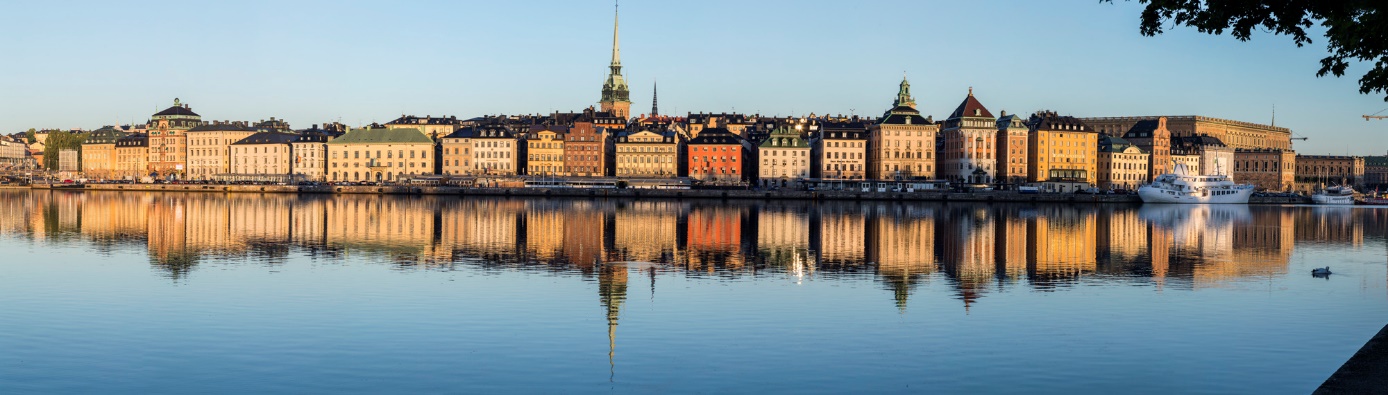 EURAPS - European Association of Plastic Surgeons | General Info